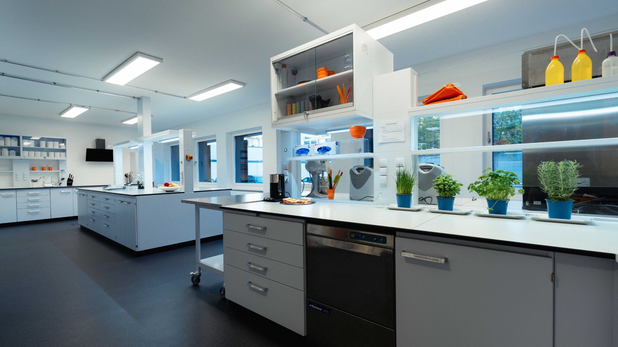 IMCD opens a Food & Nutrition Laboratory in Cologne - International ...